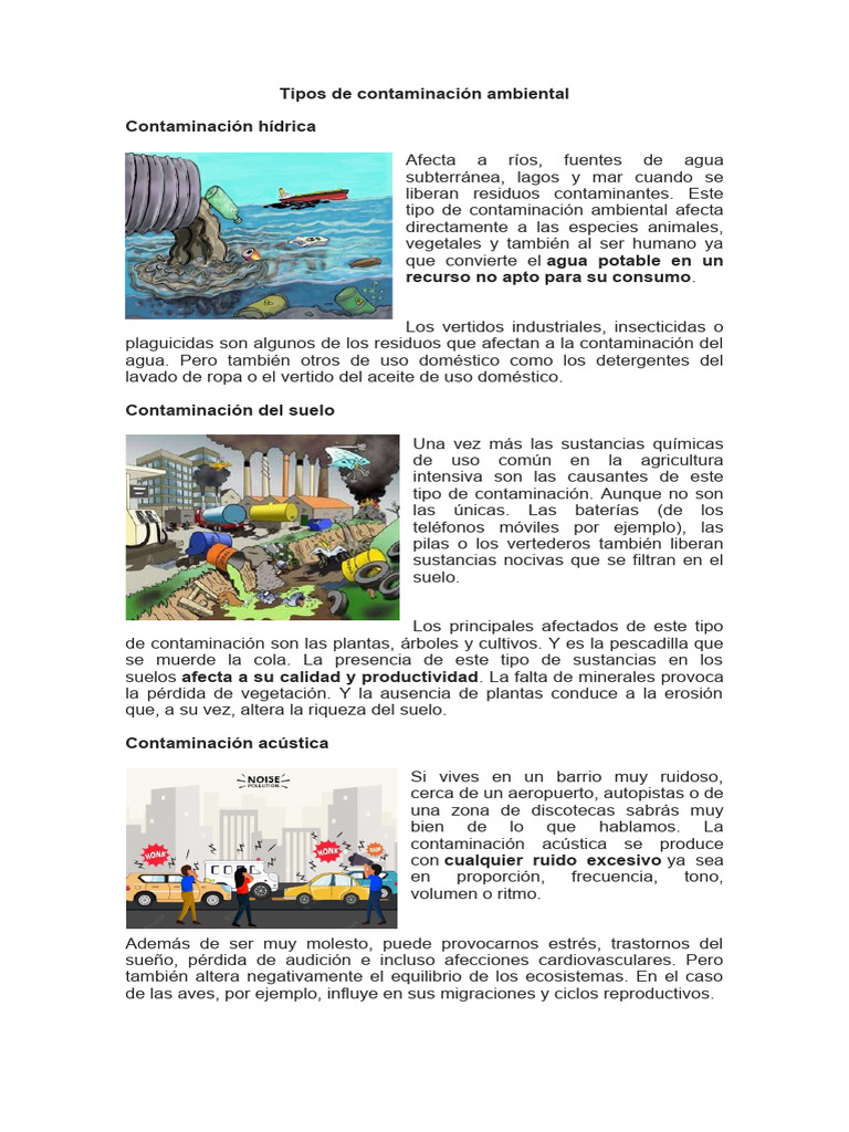 Tipos de contaminación ambiental | PDF | Contaminación | La ...