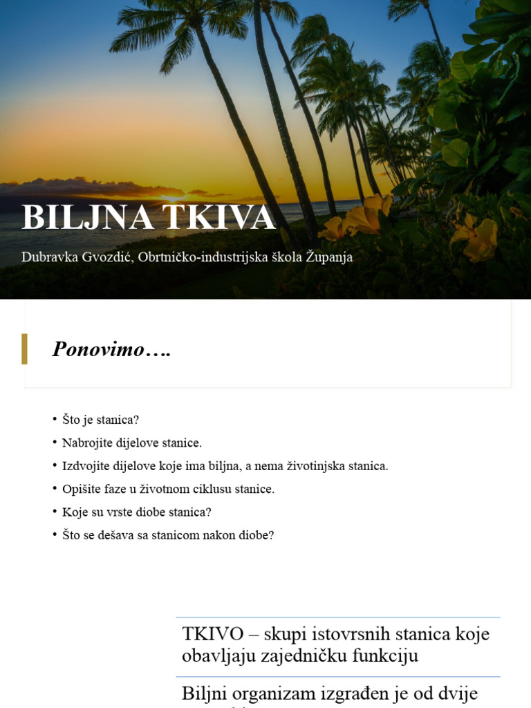 Biljna Tkiva | PDF