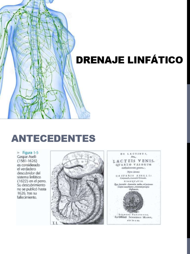 Anatomía del Drenaje Linfático | PDF | Sistema linfático | Linfa