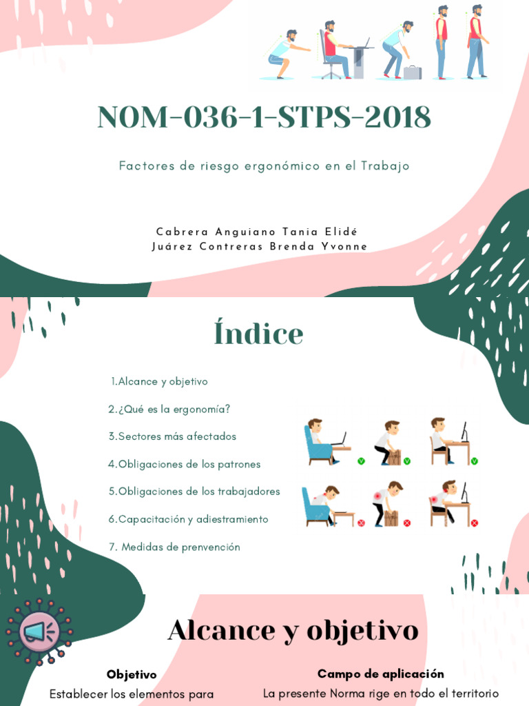 Factores de Riesgo Ergonomico de Aceurdo A NOM-036-1-STPS-2018 | PDF | Factores humanos y ...