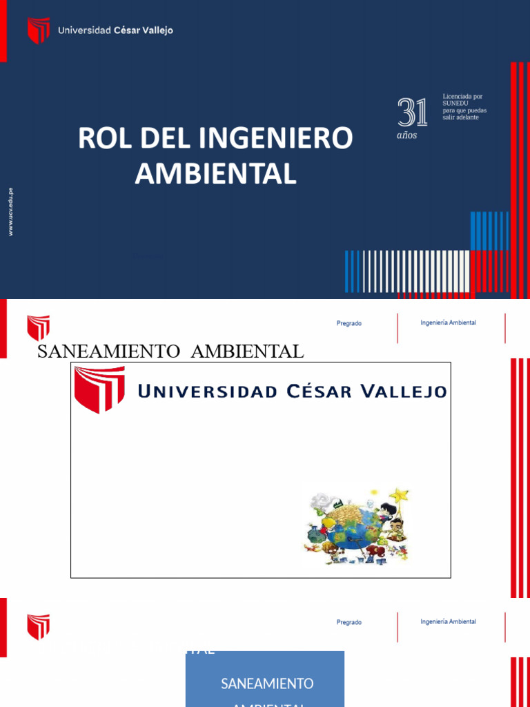 4.-Sesion Rol Del Ingeniero Ambiental - Ucv | PDF
