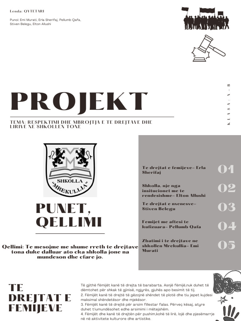 Projekt Qytetari | PDF