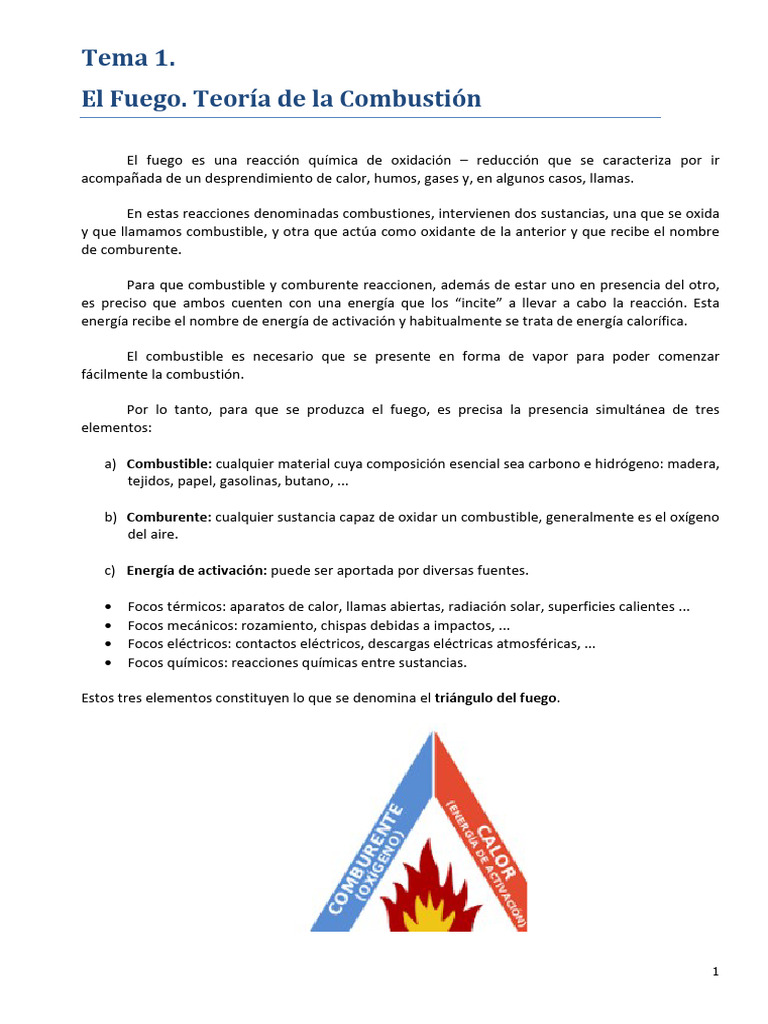 Teoría de La Combustión | PDF | Combustión | Combustibles