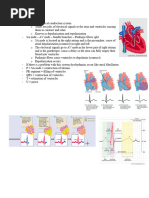 Inherent Rates: Cardiovascular System Alterations Module B | PDF ...
