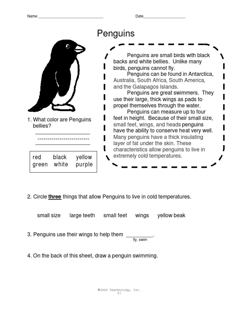 Animals Reading Comprehension | PDF | Penguin | Raccoon