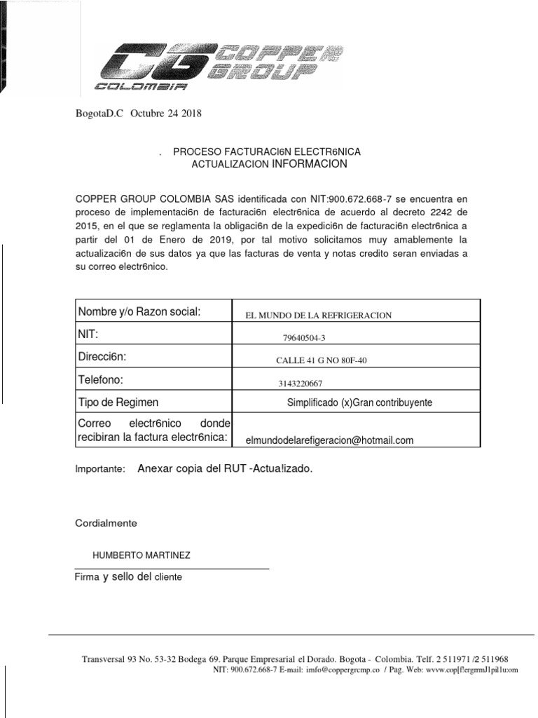 Formato Facturacion Electronica | PDF