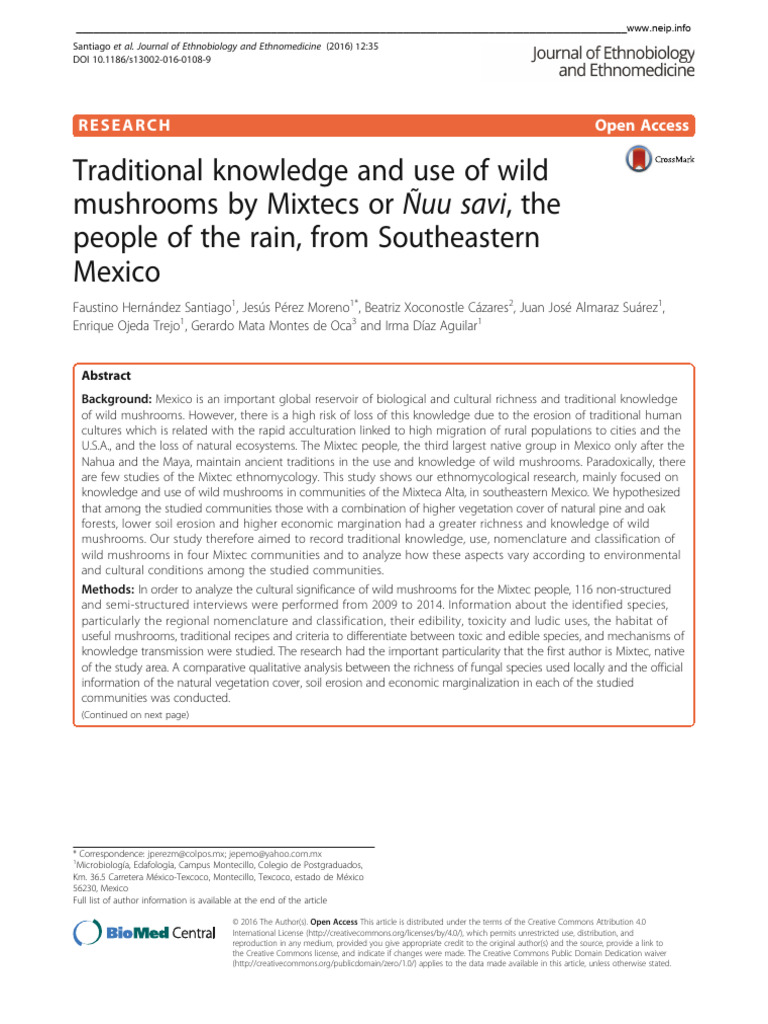 Mixtec Mushroom Traditions | PDF
