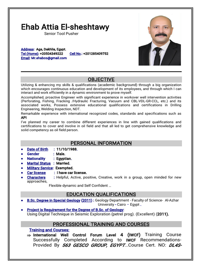 Ehab Attia CV - STP | PDF