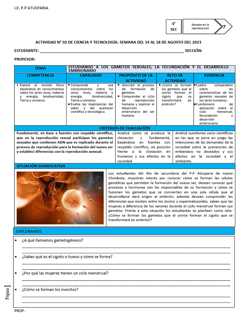 4° SEC. UNI 6 SEMANA 2 CYT Explica 2023 Estudiando a los gametos sexuales | PDF | Ovario | Ciclo ...