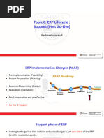 Hypercare Approach v1 | PDF | Software Bug | Business Process