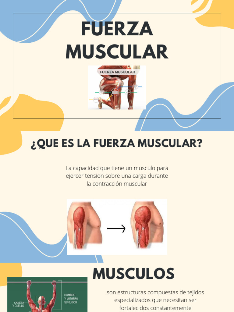 Definición y Tipos de Fuerza Muscular | PDF | Salud y bienestar