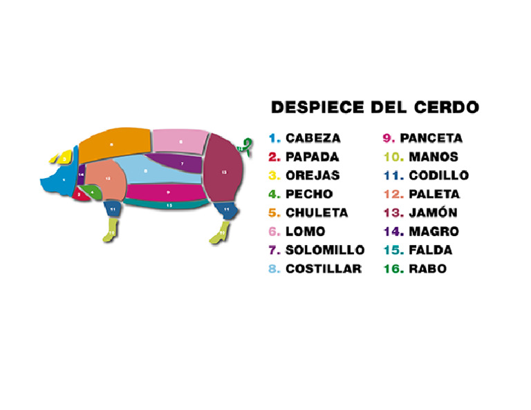 Partes Del Cerdo y Cortes | PDF
