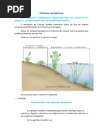 4° A Sociales Relieve de Entre Ríos | PDF | Clima | Herida