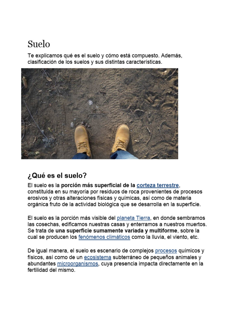 Composición y Tipos de Suelo | PDF | Suelo | Sólido