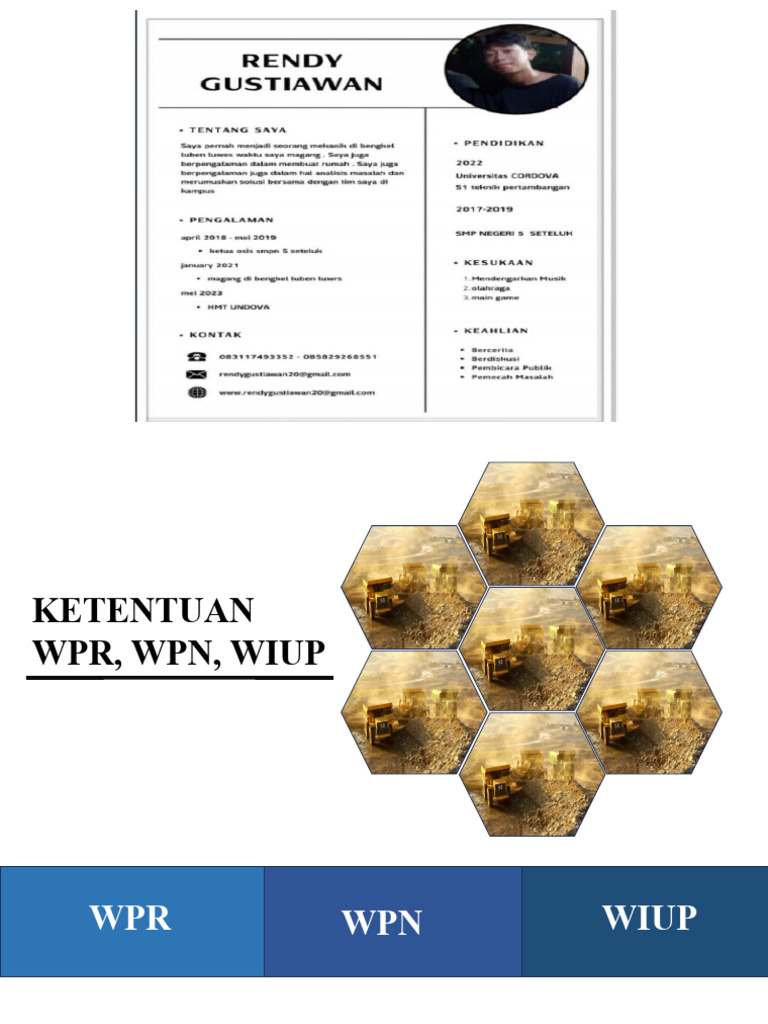 Resume Dan PPT Ketentuan Tentang WPR, WPN Dan WIUP Rendy Gustiawan | PDF