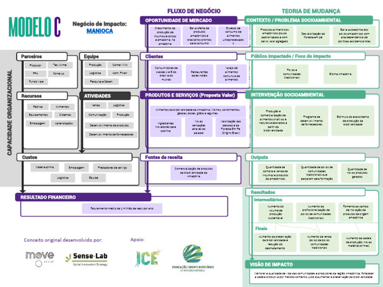 Modelo C - Preenchido | PDF | Floresta Amazônica | Logística