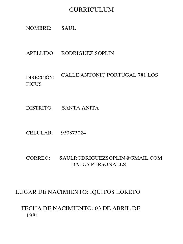 Curriculum Actualizado Saul | PDF