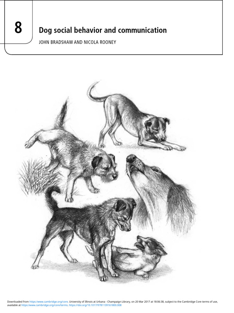 Dog Social Behavior and Communication: John Bradshaw and Nicola Rooney ...