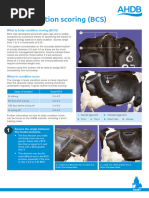 MIT App Inventor Variable Blocks Guide | PDF | Parameter (Computer Programming) | Variable ...