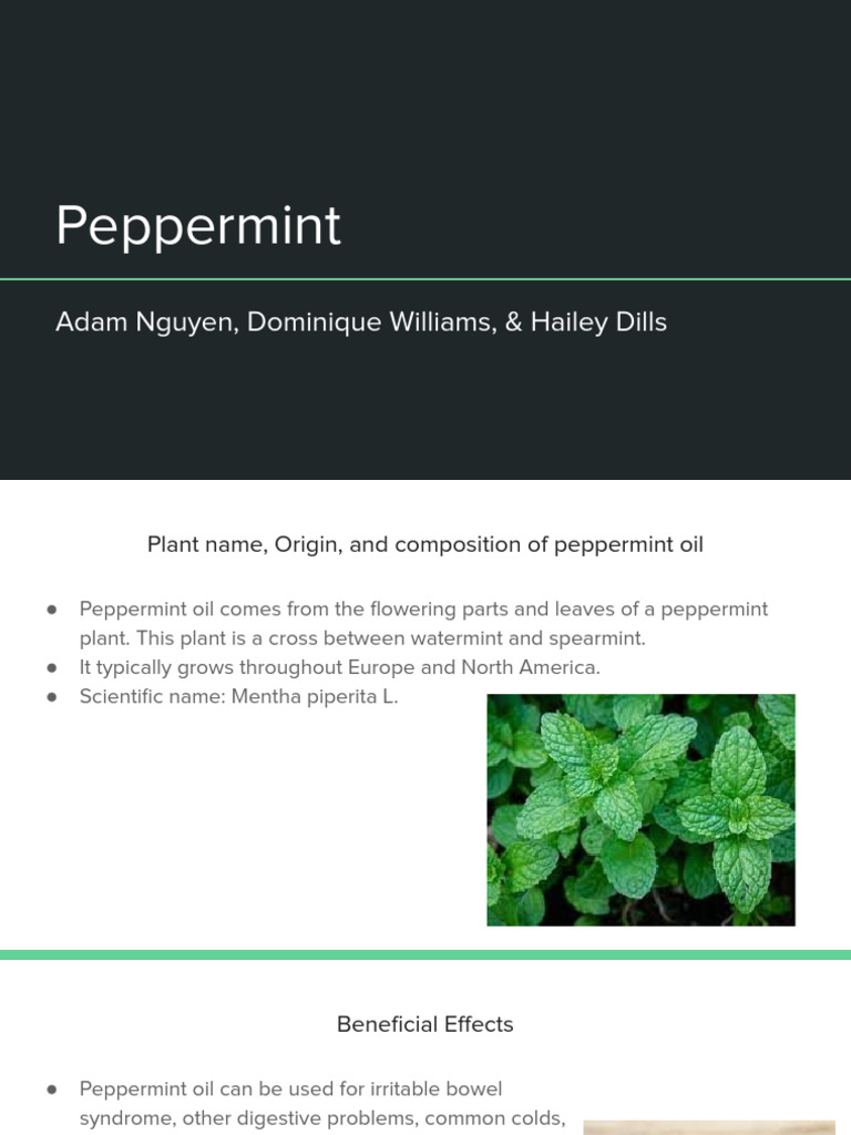 Aromatherapy Presentation | PDF | Essential Oil | Common Cold