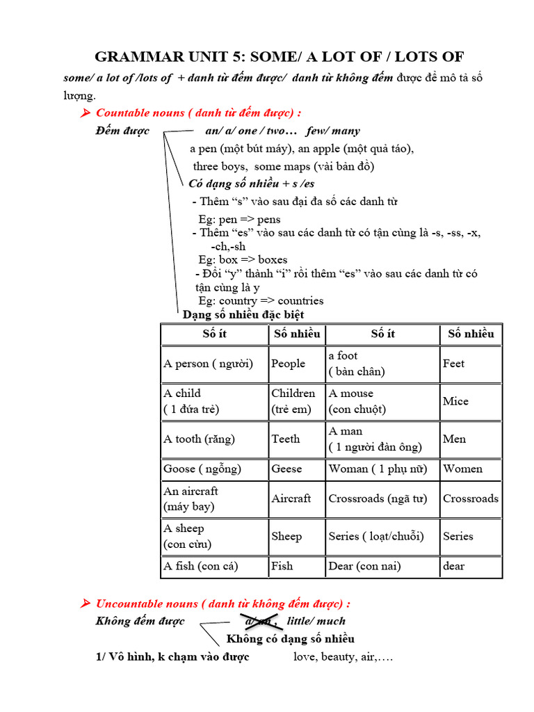 Grammar Unit 5 | PDF