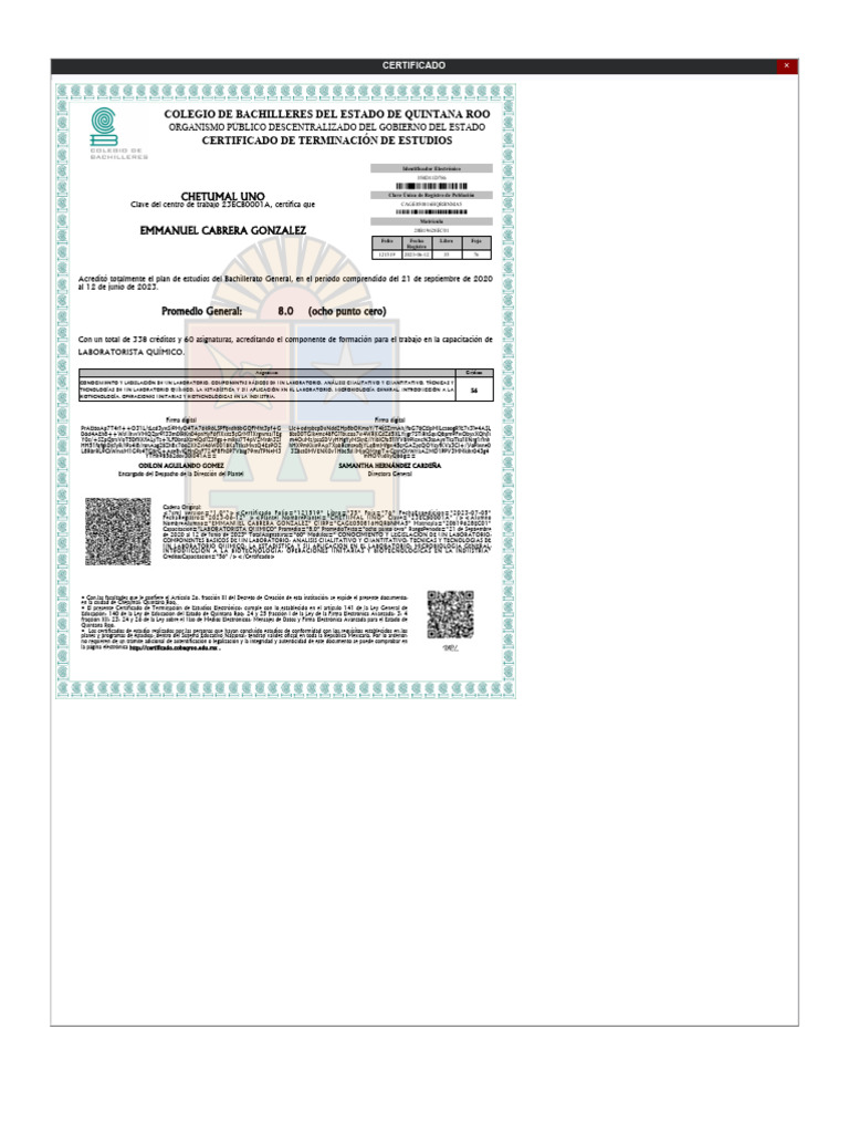 Sistema de Consulta de Certificados | PDF