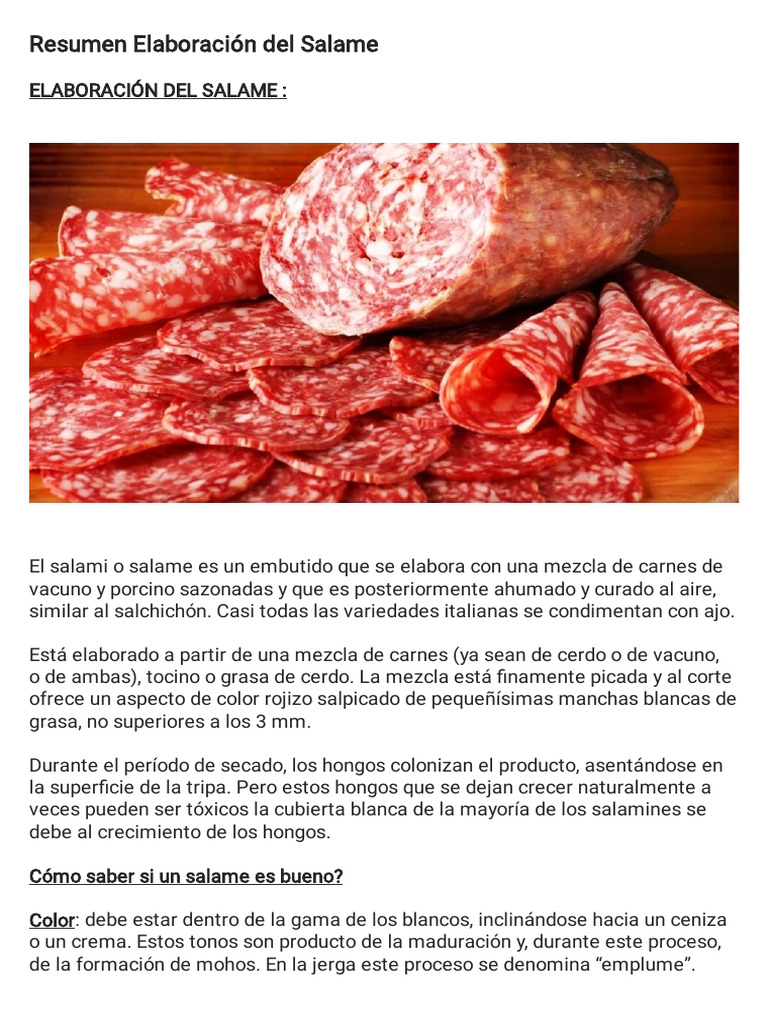 Elaboración Del Salame | PDF