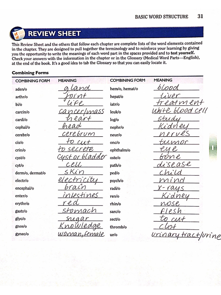 Chapter 1 Review Sheet | PDF