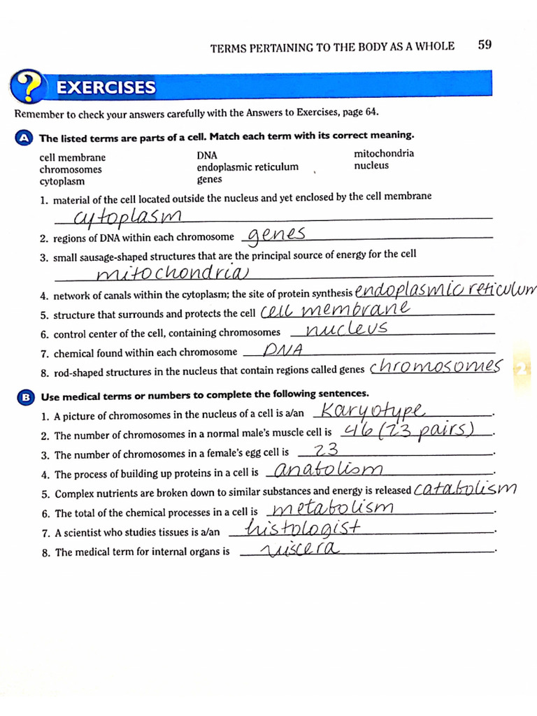 Chapter 2 Exercises | PDF Chapter 2 Exercises | PDF