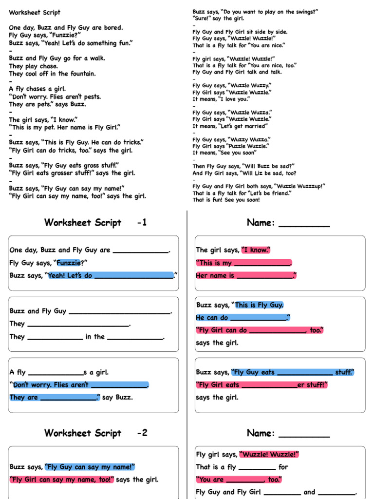 Fly Guy Worksheet 01 | PDF