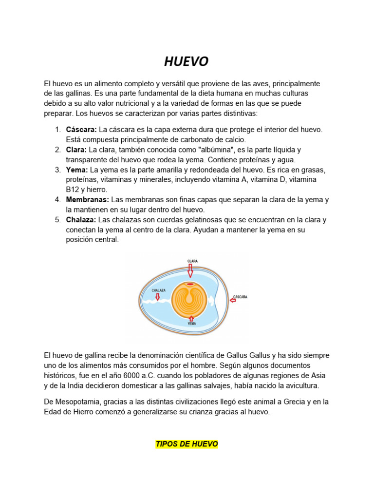 HUEVO | PDF | Huevo como alimento | Yema de huevo