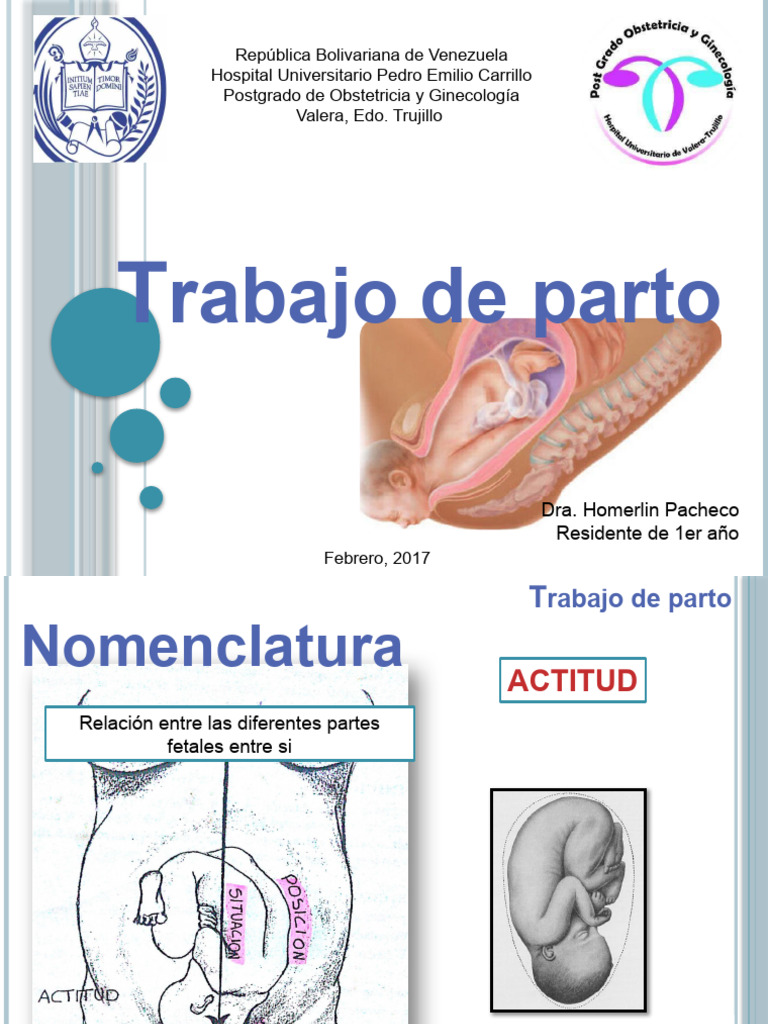 Trabajo de Parto | PDF | Parto | Especialidades Medicas