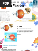 Astenopia o Fatiga Visual | PDF | Ojo humano | Oftalmología