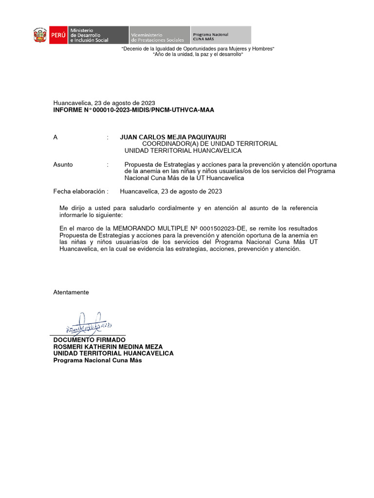 Plan De Trabajo Prevencion Y Atencion De Anemia 2023 Ut Huancavelica Pdf Nutrición Dieta Y