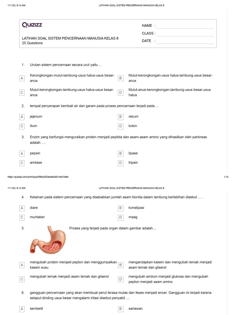 Latihan Soal Sistem Pencernaan Manusia Kelas 8 | PDF | Kesehatan Holistik