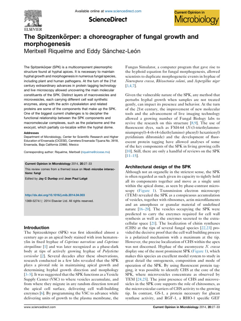 2014 The Spitzenkorper A Choreographer Of Fungal Growth And