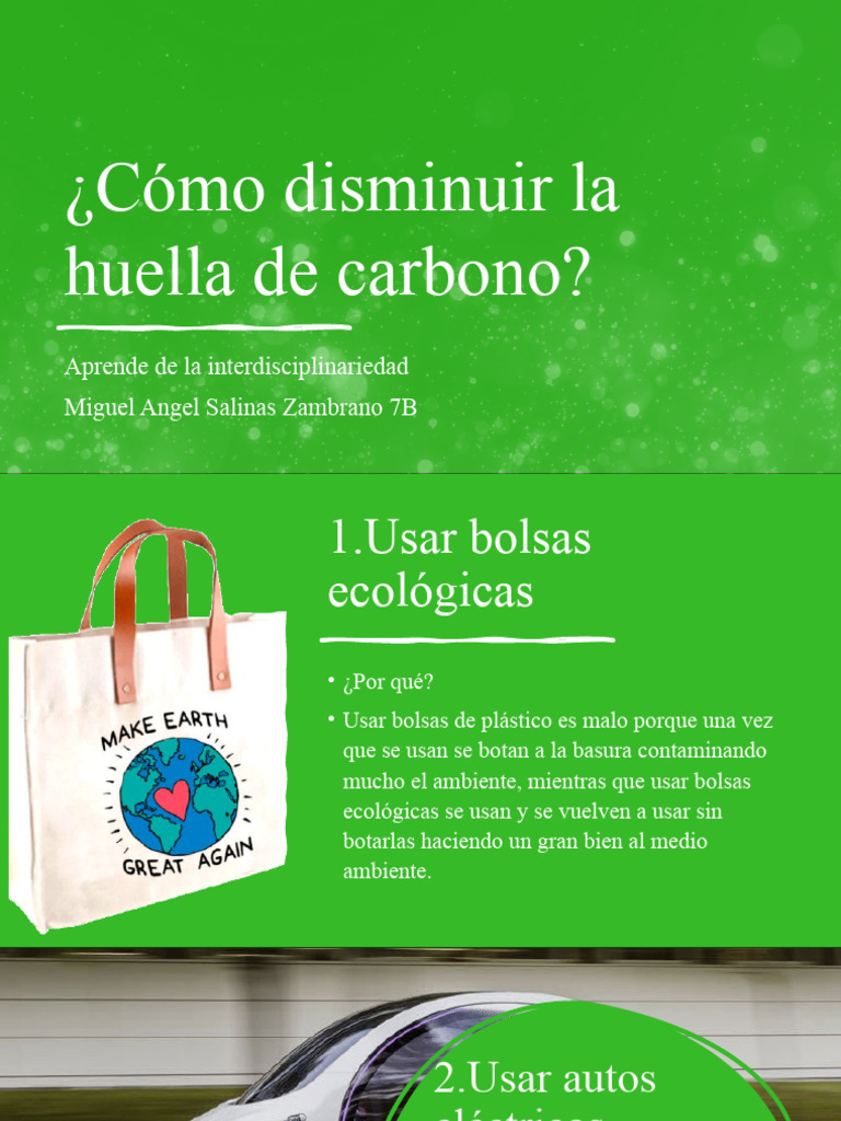 Como Disminuir La Huella de Carbono | PDF