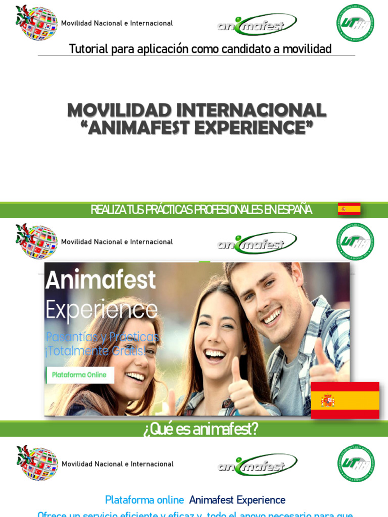 Animafest Experience: Prácticas en España | PDF | Crecimiento personal ...