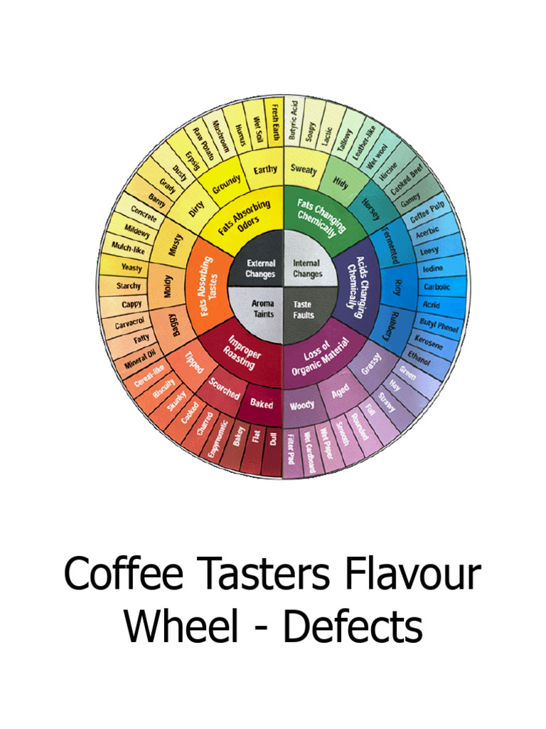 Coffee Flavour Wheels | PDF