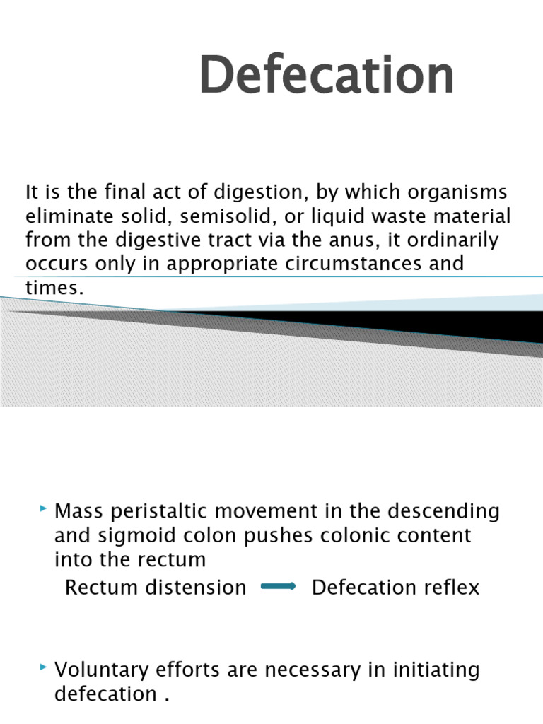 Defecation Final | PDF | Rectum | Human Anatomy