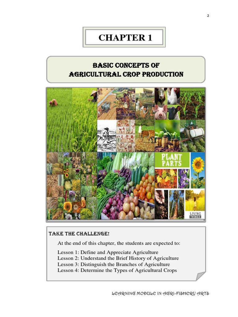 Chapter 1 | PDF | Leaf | Agriculture