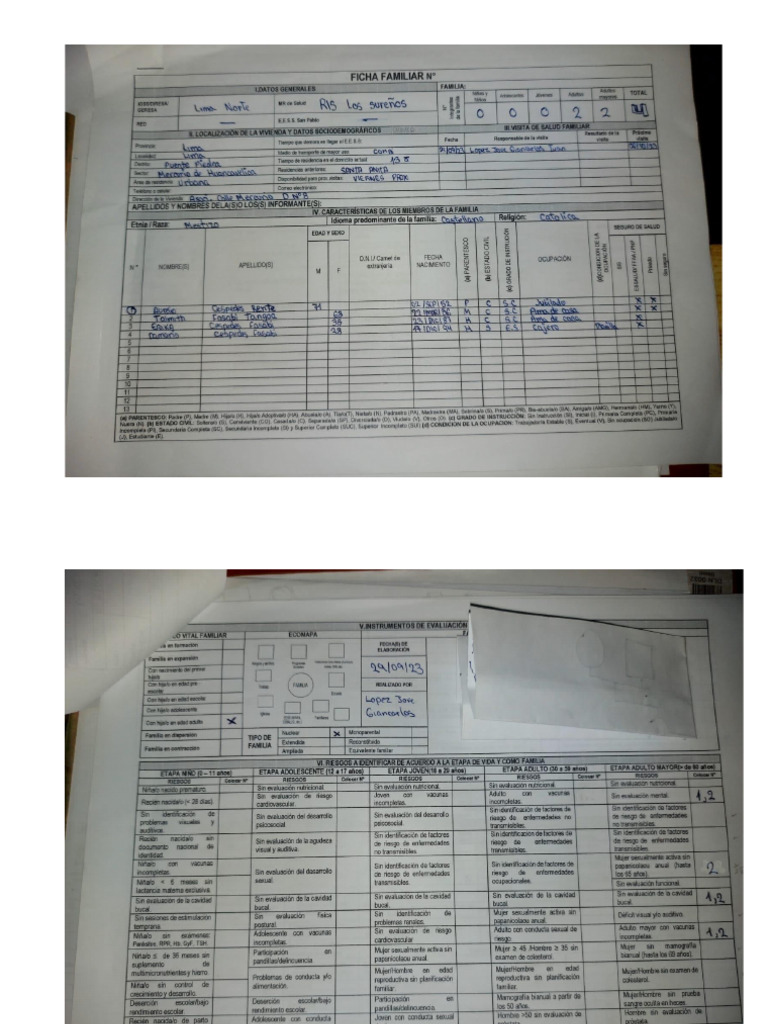 Ficha Familiar | PDF