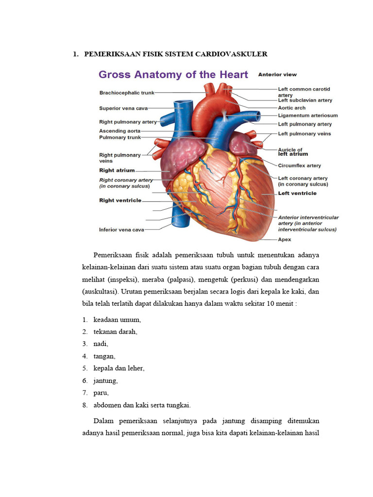 Pemeriksaan Fisik Sistem Kardiovaskuler | PDF