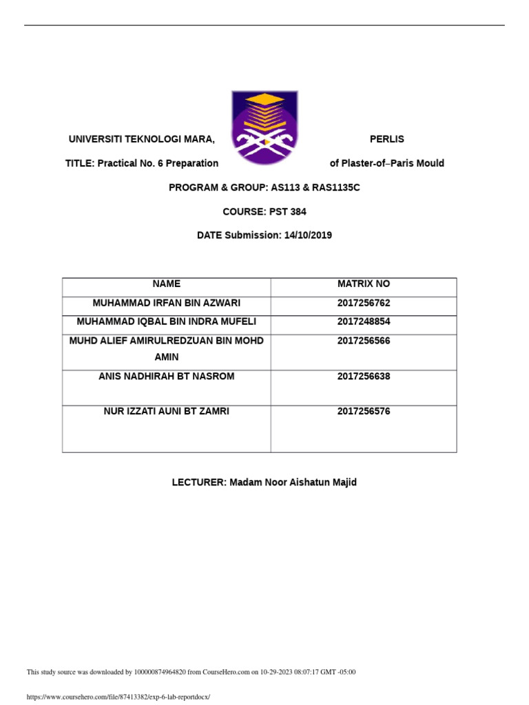 Exp 6 Lab Report | PDF | Plaster | Procedural Knowledge
