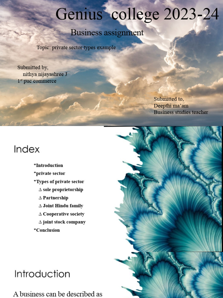 Presentation Bs | PDF | Joint Stock Company | Partnership