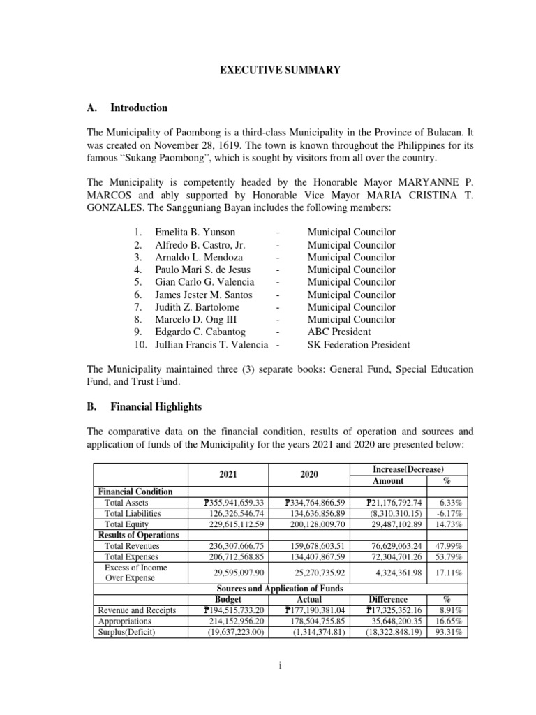 Paombong Executive Summary 2021 | Download Free PDF | Budget | Audit
