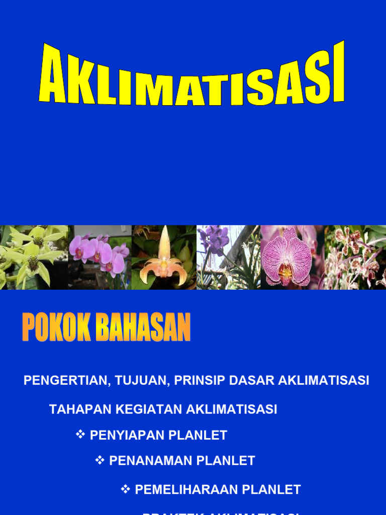 Proses Aklimatisasi Planlet Anggrek | PDF