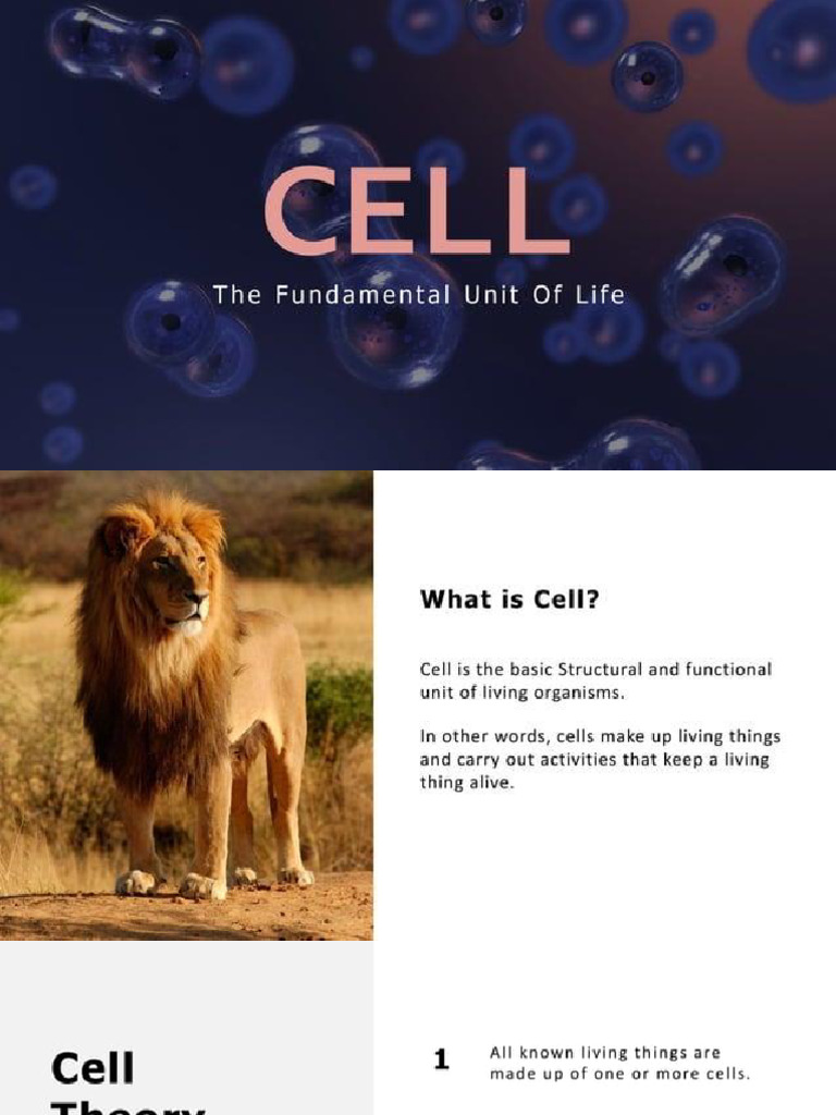 Chapter 2 Cell Types | PDF