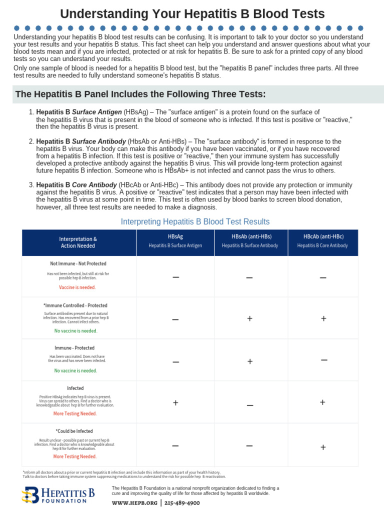 Understanding Your Hepatitis B Blood Tests Fact Sheet Updated January ...