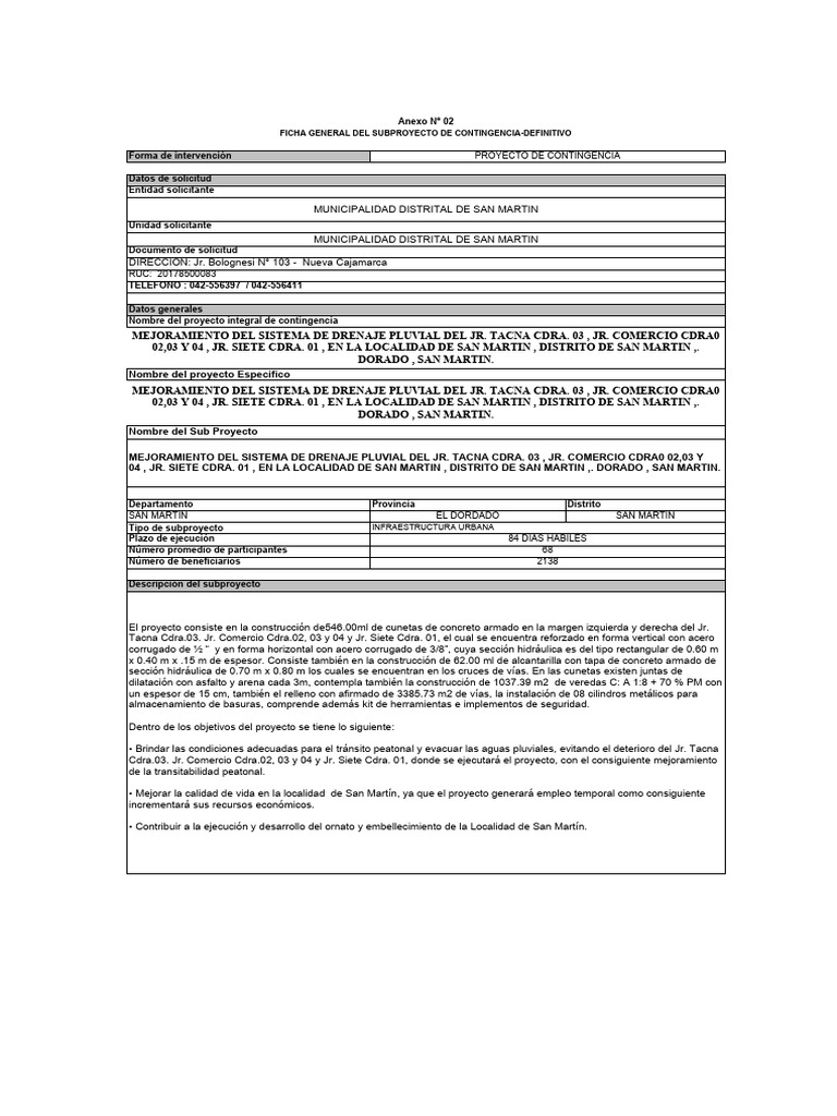 Formato 5 Tacna | PDF | Economias